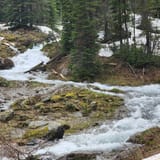 Gorman Lake Trail, British Columbia, Canada - 150 Reviews, Map | AllTrails