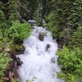 Gorman Lake Trail, British Columbia, Canada - 150 Reviews, Map | AllTrails