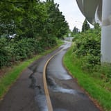 Lake Washington Road Bike Loop, Washington - 139 Reviews, Map | AllTrails