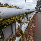 Lake Washington Road Bike Loop, Washington - 139 Reviews, Map | AllTrails