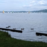 Lake Washington Road Bike Loop, Washington - 161 Reviews, Map | AllTrails