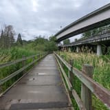 Lake Washington Road Bike Loop, Washington - 161 Reviews, Map | AllTrails