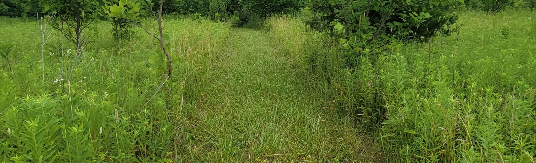 Rayfield Trail, Indiana - 10 Reviews, Map | AllTrails