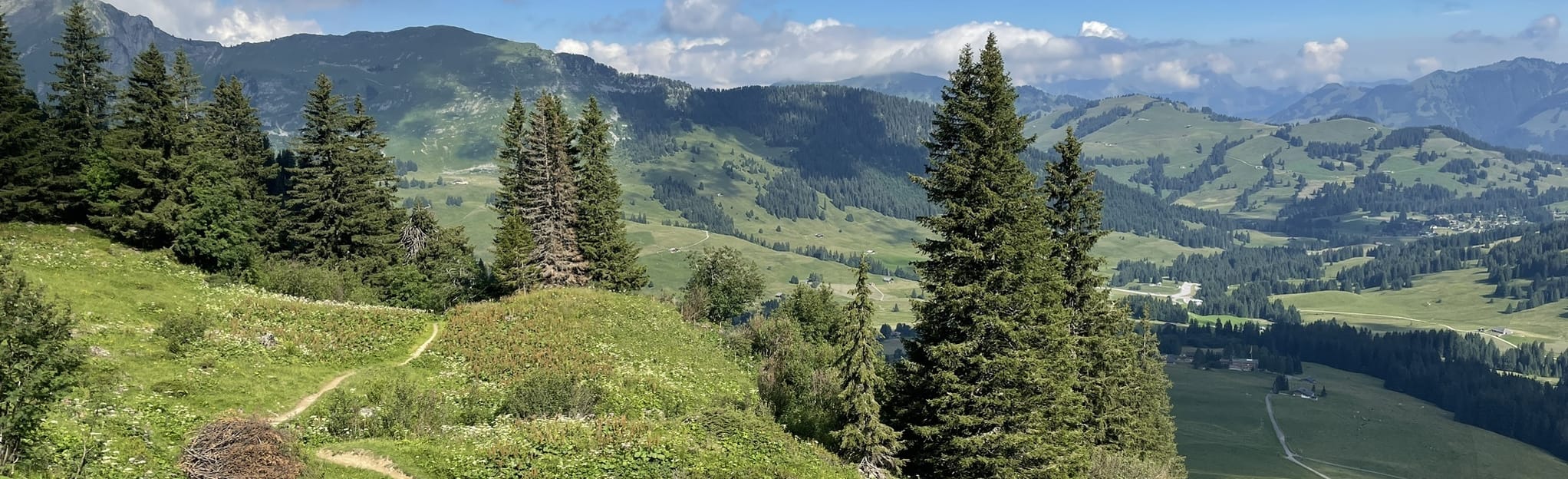 Col des Mosses - Pic Chaussy - Lac Lioson : 299 Photos - Vaud, Suisse ...