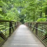 Lenape Trail , New Jersey - 476 Reviews, Map | AllTrails
