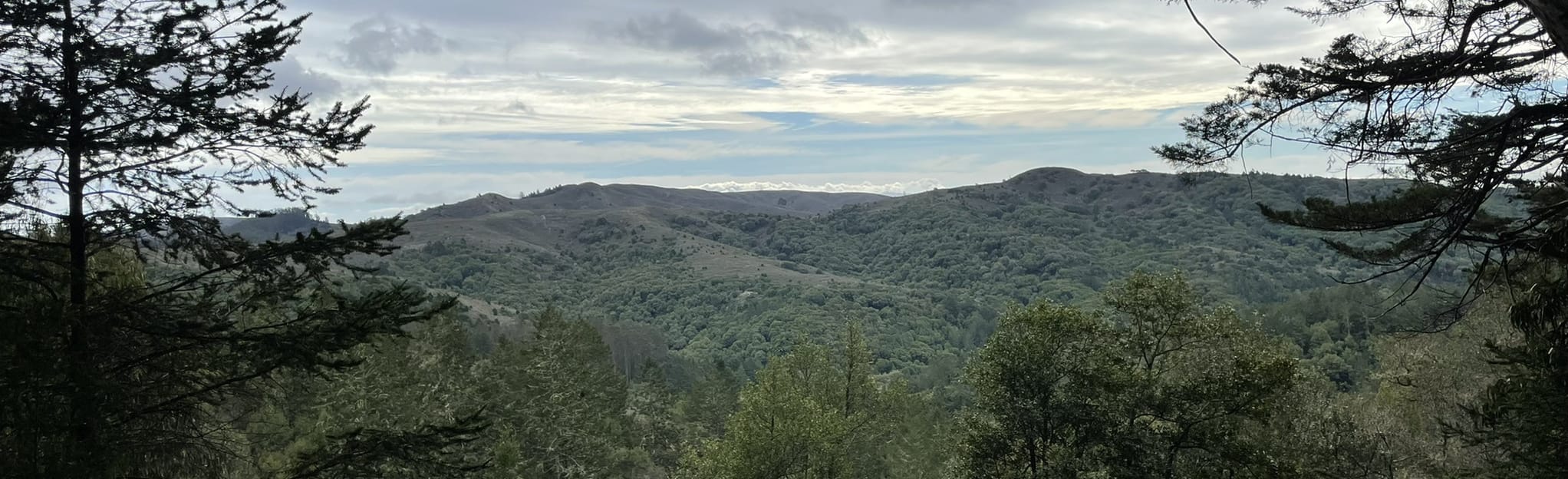 Fern Creek Trail, Hillside Trail, Redwood Trail, and Dipsea Trail Loop ...