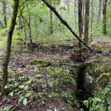 Hickory Ridge Outer Trail, Tennessee - 355 Reviews, Map | AllTrails