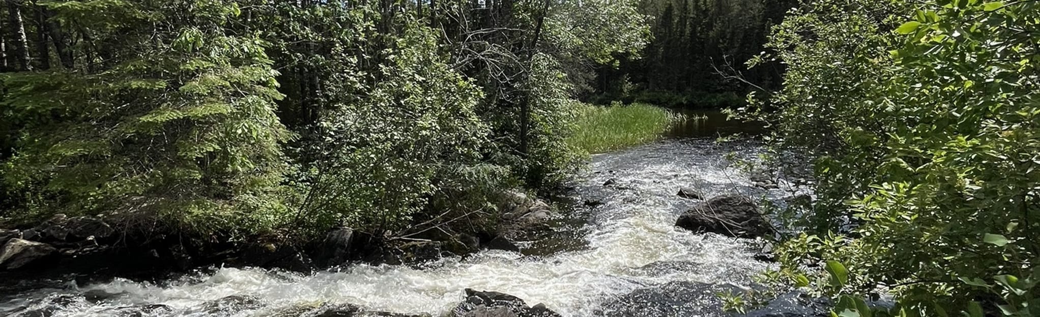 Beaubien Lake Trail: 27 Reviews, Map - Ontario, Canada | AllTrails