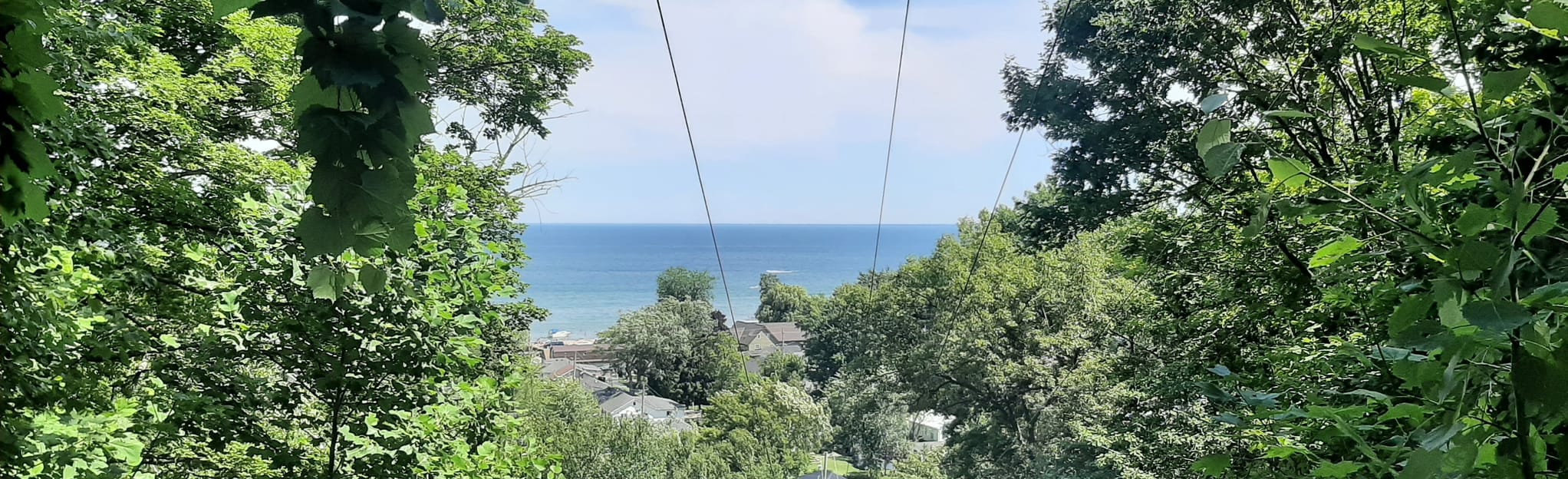 Lookout Bluff Trail: 154 Reviews, Map - Ontario, Canada | AllTrails