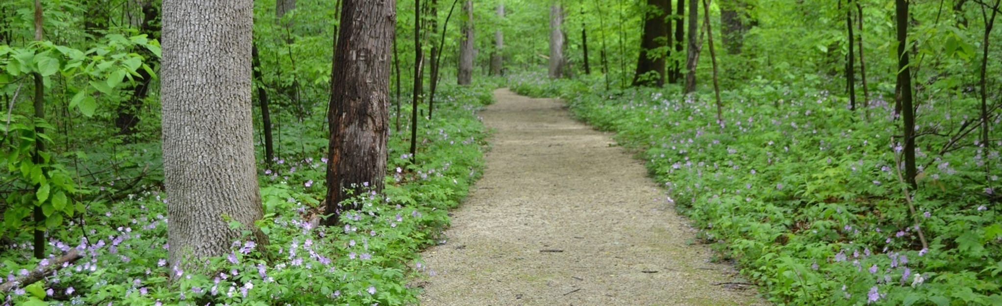 Maple Wood Nature Center: Red and Green Trails, Indiana - 26 Reviews ...