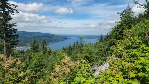 Best Hikes and Trails in Lake Whatcom Park | AllTrails