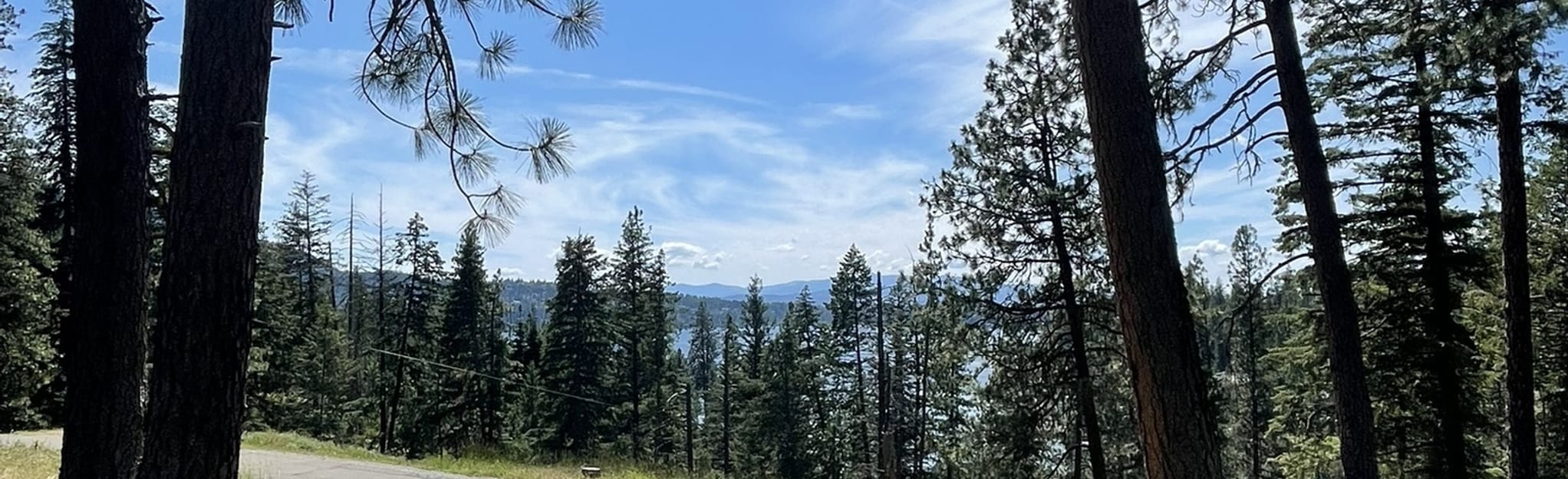 English Point Yellow Loop Trail, Idaho - 787 Reviews, Map | AllTrails