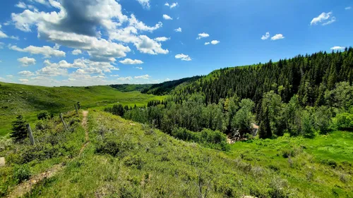 10 Best Trails and Hikes in Cochrane | AllTrails