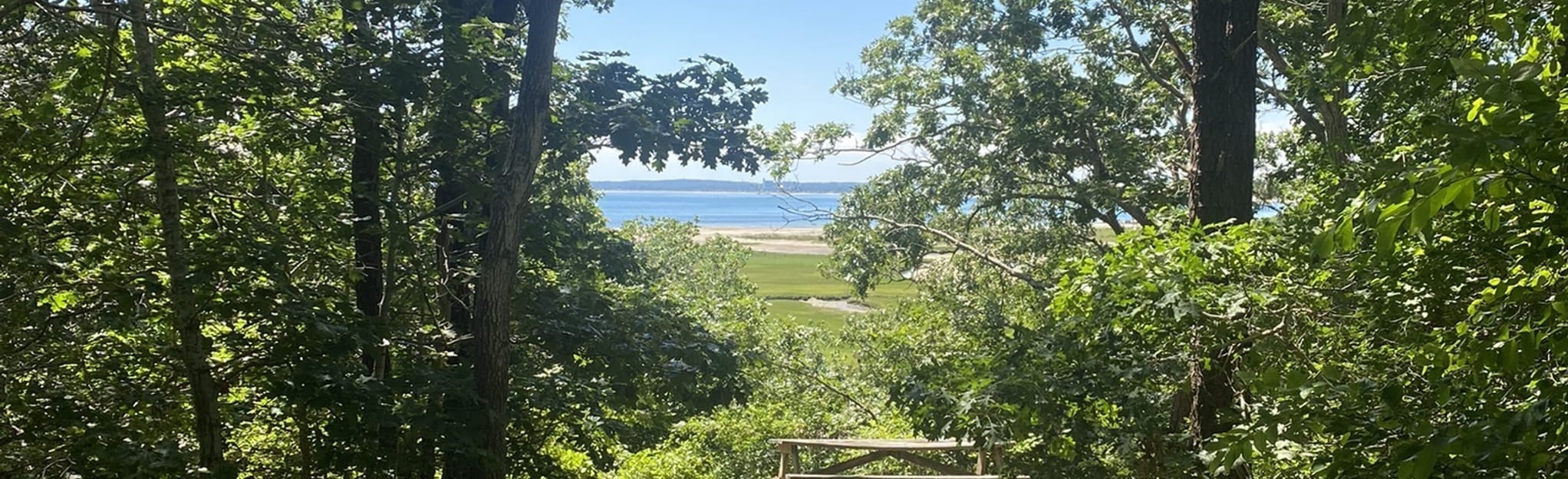 Ellisville Harbor State Park Trail, Massachusetts - 352 Reviews, Map ...