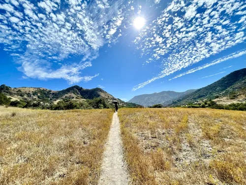 10 Best Trails and Hikes in Avalon | AllTrails