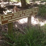 Bulow Woods Hiking Trail, Florida - 204 Reviews, Map | AllTrails