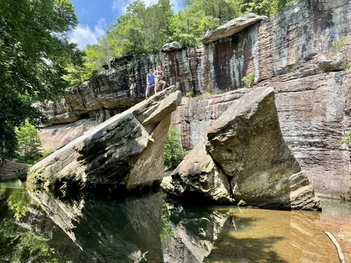 Best Hikes and Trails in Bell Smith Springs Natural Landmark | AllTrails