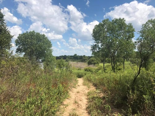 Best Hikes and Trails in High Point Day-Use Park | AllTrails