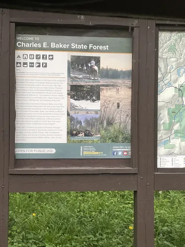Best Hikes and Trails in Charles E. Baker State Forest | AllTrails