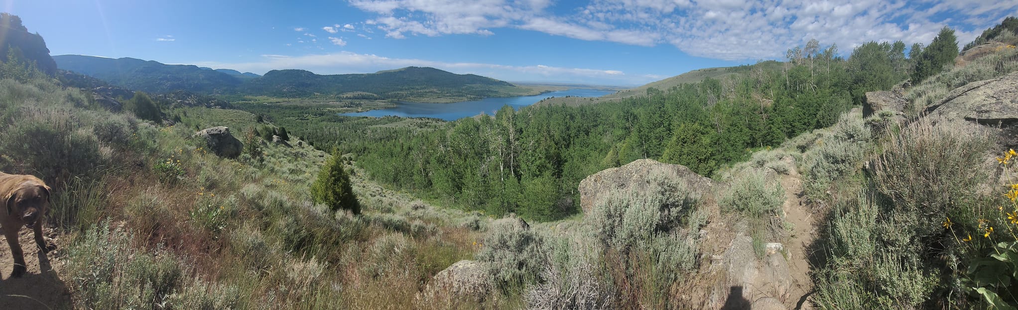 Blueberry Lake Trail 172 to Lake Victor: 2 Reviews, Map - Wyoming ...