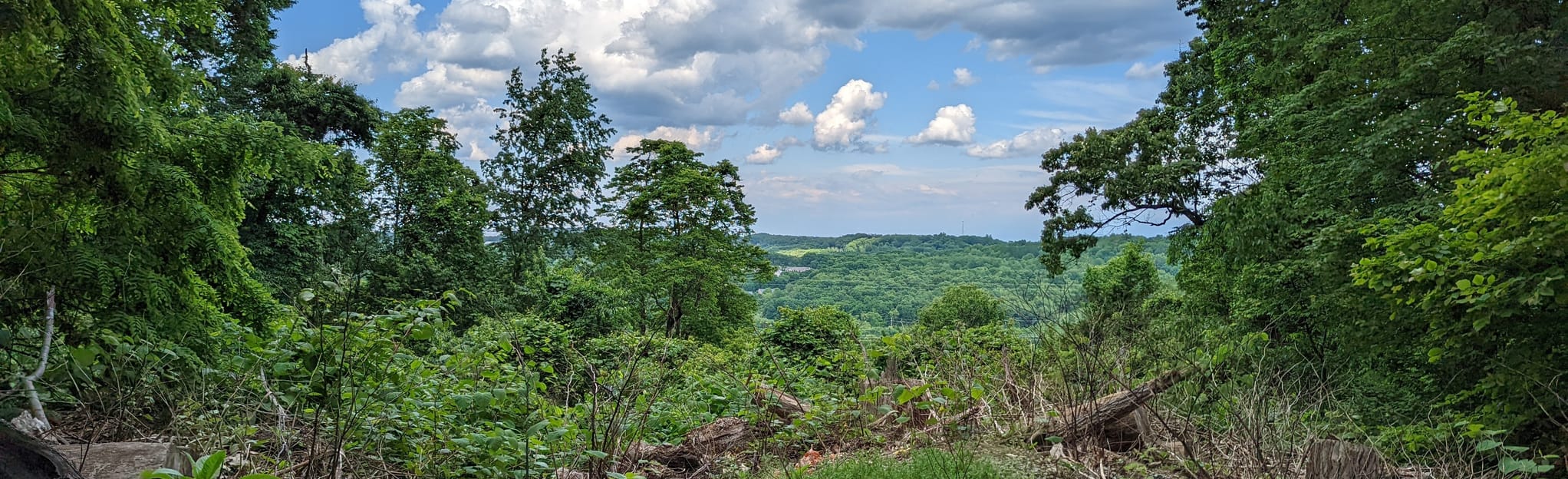 Rachel Carson Trail and White Trail Loop, Pennsylvania - 846 Reviews ...