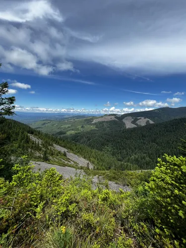 10 Best Hikes and Trails in Yacolt Burn State Forest | AllTrails