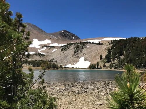 10 Best Off Road Driving Trails in Humboldt-Toiyabe National Forest ...