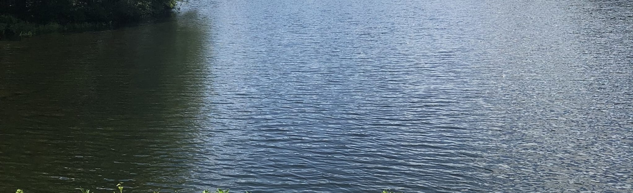 YKWD Yellow Trail: 55 Reviews, Map - Maine | AllTrails