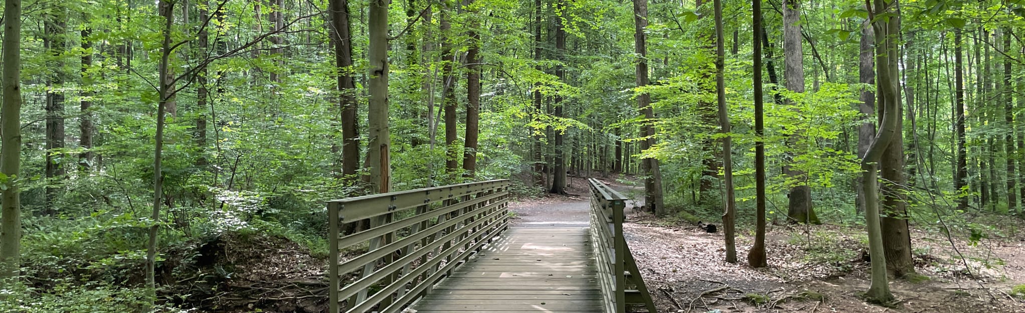 Daniel’s Run Park Loop, Virginia - 288 Reviews, Map | AllTrails