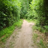 Birdsboro Waters Loop, Pennsylvania - 305 Reviews, Map | AllTrails