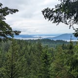 Chuckanut Mountain, Washington - 367 Reviews, Map | AllTrails
