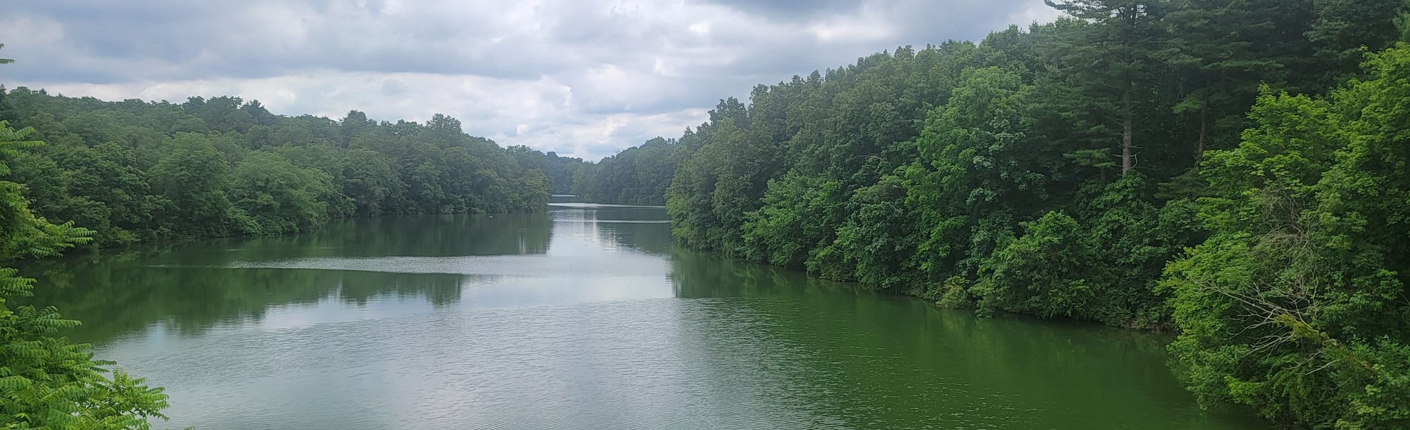 Blue Marsh Lake via Lake Border Trail, Pennsylvania - 68 Reviews, Map ...