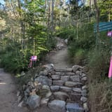 Bicentennial National Trail: Mount Sylvia to Cunningham Highway ...