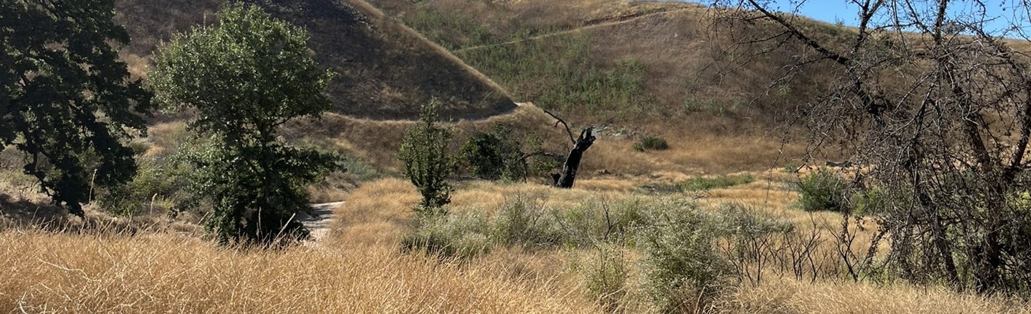 Cheeseboro Ridge and Las Virgenes Canyon Loop: 108 Reviews, 613 Photos ...