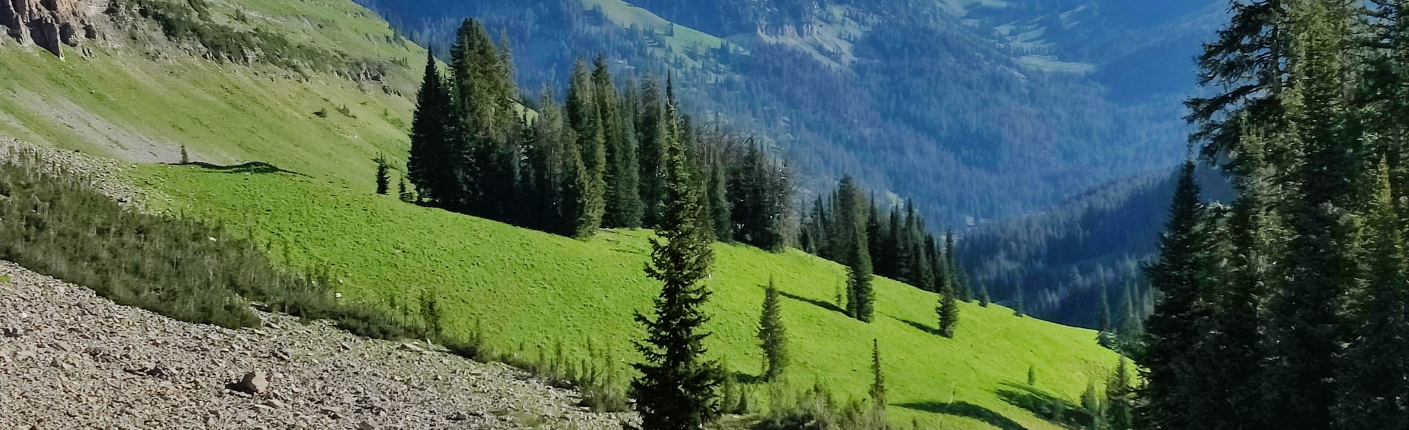 Taylor Mountain Loop Trail: 337 foto - Idaho | AllTrails
