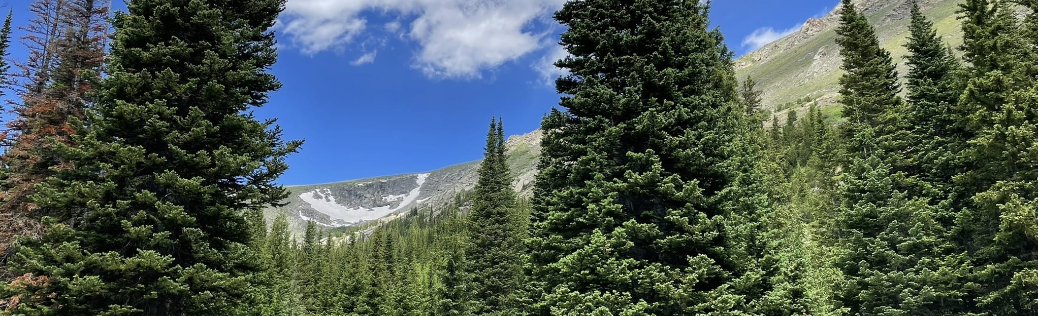 South Arapahoe Peak via Arapahoe Pass Trail and Southeast Ridge Route ...
