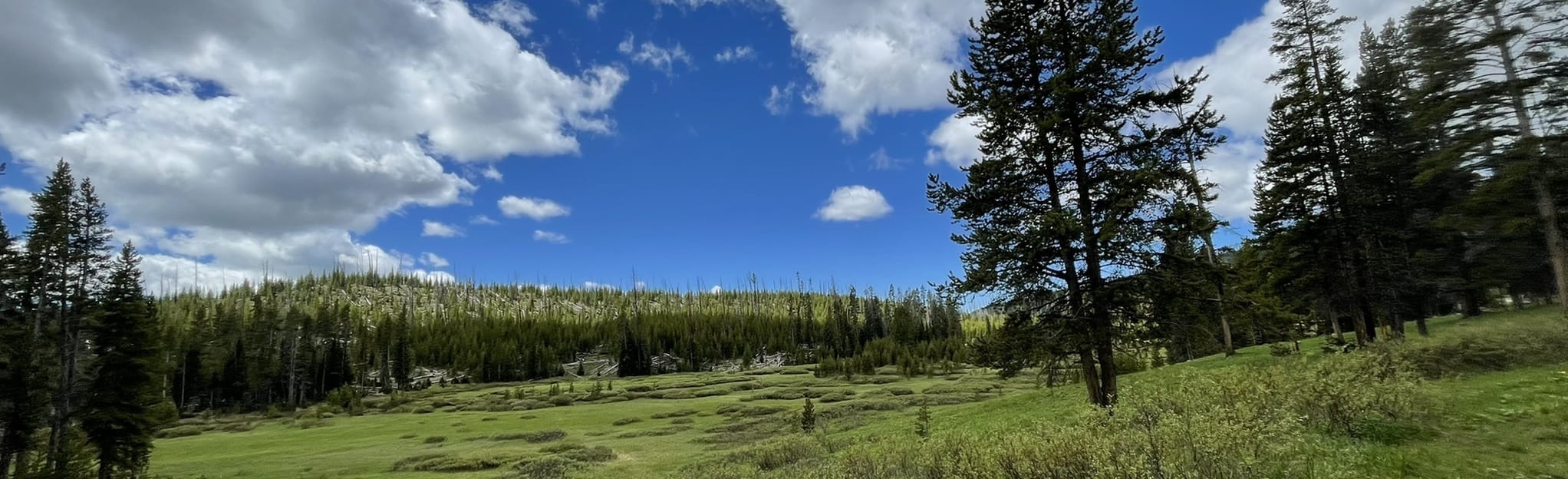Grebe Lake via Cascade Creek Trail, Montana - 28 Reviews, Map | AllTrails