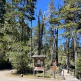 Pygmy Forest Discovery Trail, California - 116 Reviews, Map | AllTrails