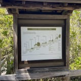 Pygmy Forest Discovery Trail, California - 116 Reviews, Map | AllTrails