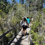 Pygmy Forest Discovery Trail, California - 116 Reviews, Map | AllTrails