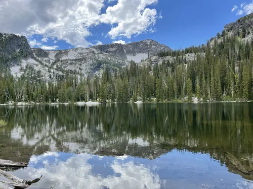 10 Best Hikes and Trails in Bitterroot National Forest | AllTrails