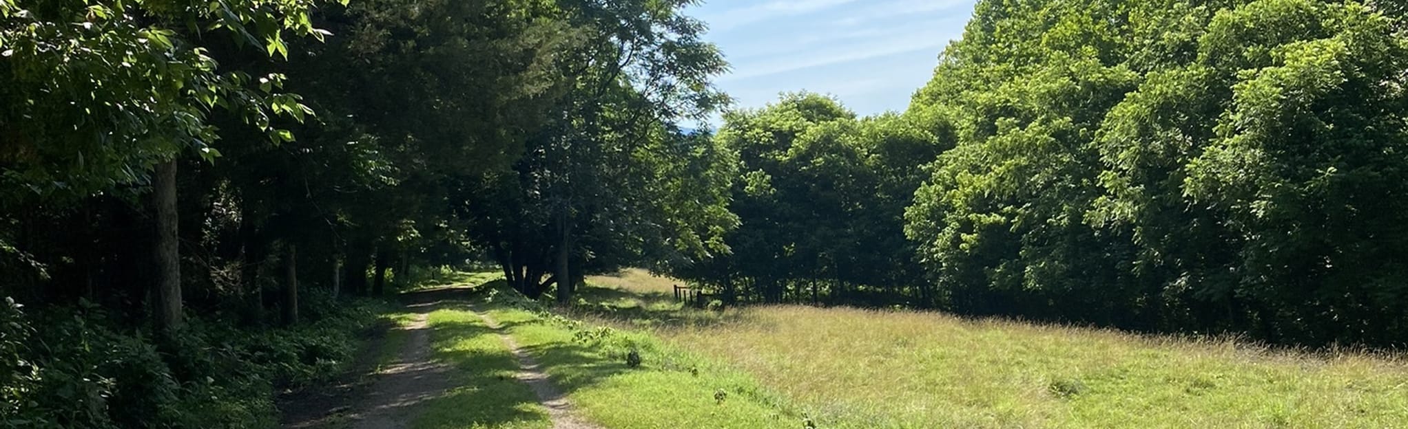 Chessie Nature Trail | Map, Guide - Virginia | AllTrails