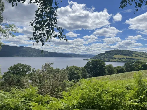 10 Best Trails and Hikes in Inverness | AllTrails