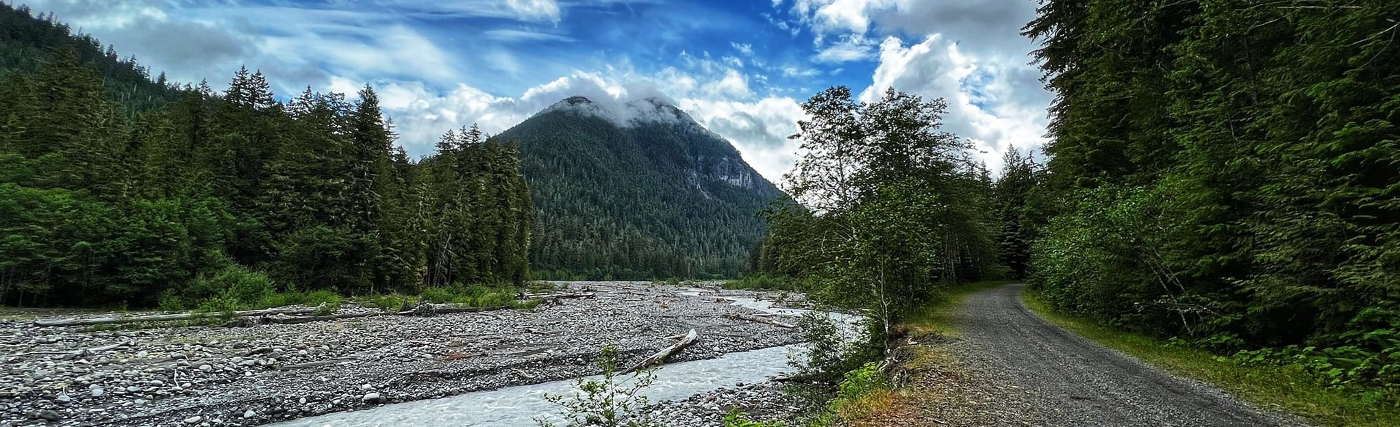 Tyee Peak via Carbon River Trail: 10 Reviews, Map - Washington | AllTrails
