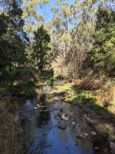 Best Hikes and Trails in Mount George Conservation Park | AllTrails