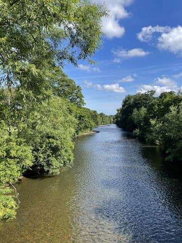 Best Hikes and Trails in Allestree Park | AllTrails