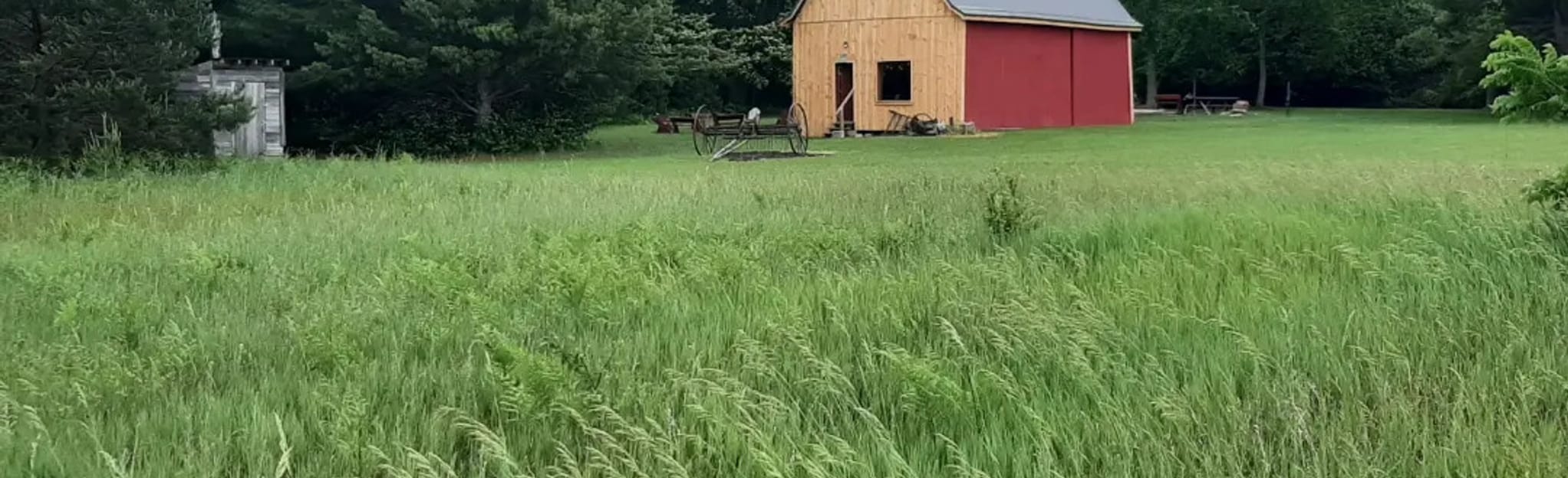 Postle Farm Preserve Trail, Michigan - 18 Reviews, Map | AllTrails