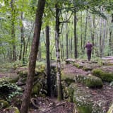 Hickory Ridge Outer Trail, Tennessee - 355 Reviews, Map | AllTrails