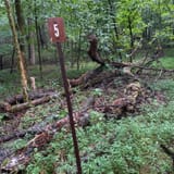 Hickory Ridge Outer Trail, Tennessee - 355 Reviews, Map | AllTrails