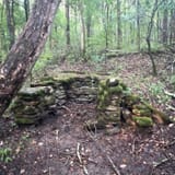 Hickory Ridge Outer Trail, Tennessee - 374 Reviews, Map | AllTrails